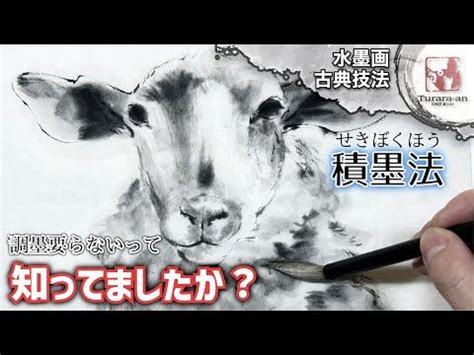 How To Draw Sumi E Youtube Sheep