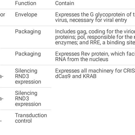 List Of Plasmids Used For Hek 293t Cells Co Transfection Download