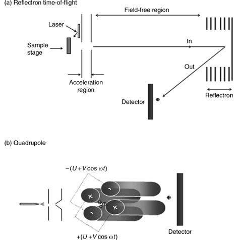 1 Schematic Diagram Of Single Stage Mass Spectrometers Built From Basic