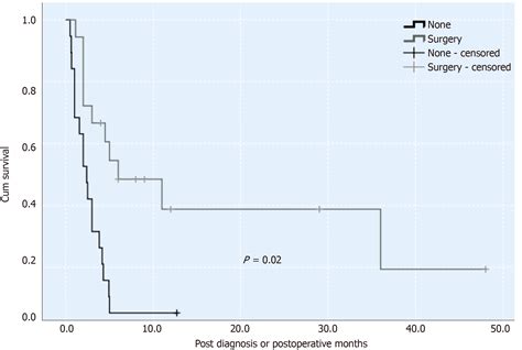 Sarcomatoid Intrahepatic Cholangiocarcinoma Mimicking Liver Abscess A