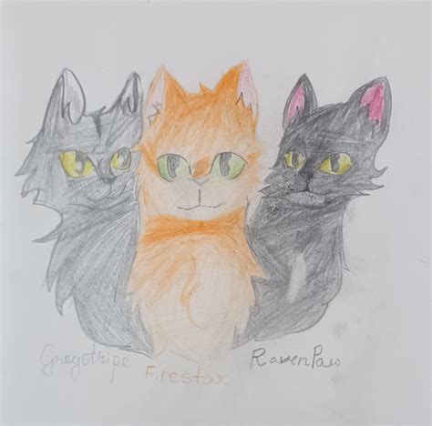 Warrior Cats Firestar Graystripe And Ravenpaw