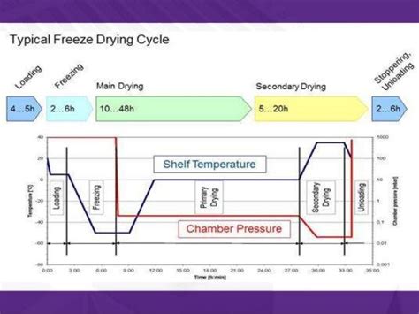 Freeze Drying