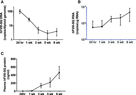 Assessment Of Aav5 Hfviii Sq Vector Genome Levels And Transgene