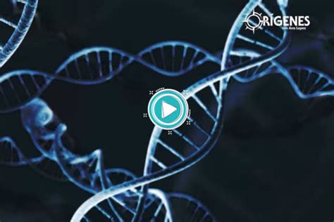 Hacer Ciencia Ciencias Naturales B