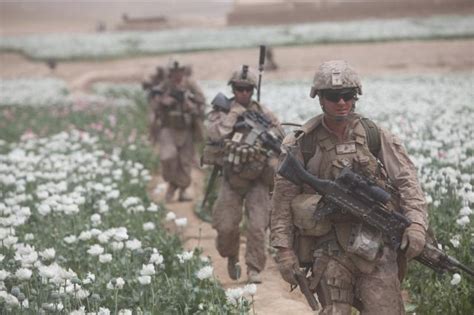 世界上最大的罌粟種植地，政府支持美國大兵守衛，取代金三角 每日頭條