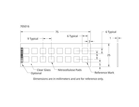 Oncyte® Film Slides Grace Bio Labs Oncyte® Film Slides Grace Bio Labs