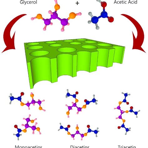 Schematic Reaction Pathways For Acetins Production Via Esterification