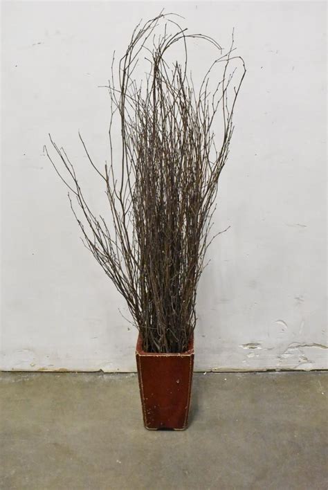Tall Potted Twig Decor In Heavy Ceramic Red Pot 56 Tall