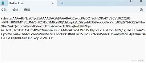 Ssh服务及配置mobaxterm远程免密登入mobaxterm Ssh Csdn博客