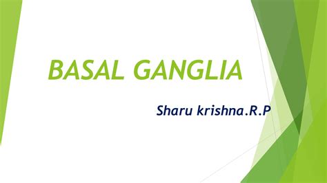 Solution Basal Ganglia Studypool