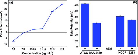 Zeta Potential Measurements Of A Azm At Different Concentrations And