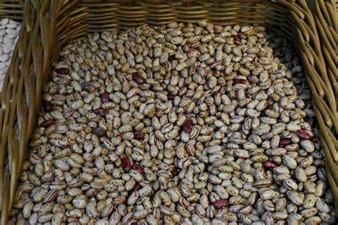 Free Picture Seed Vegetable Food Bean Produce Nutrition Farming Dry