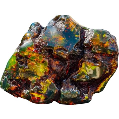 The 22 Different Types Of Amber With Incredible Photos