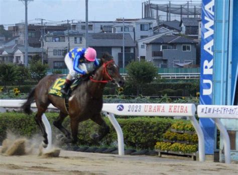 【浦和・ルーキーズサマーカップ】アムクラージュ初代王者 競馬ニュース Netkeiba