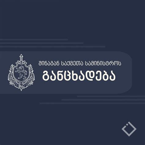 შსს ლუკა კურტანიძის დაკავებასთან დაკავშირებით ინფორმაციას ავრცელებს