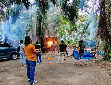 Gubuk Markas Narkoba Di Kebun Sawit Lamteng Dibongkar