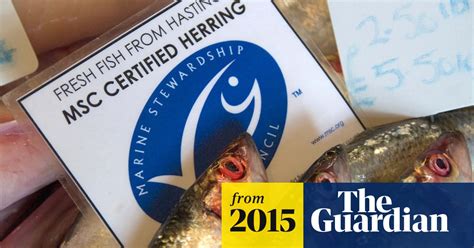 Uk Supermarkets Failing To Stock Enough Sustainable Fish Says Report