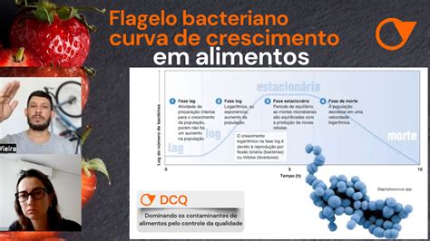 〰️flagelo Bacteriano E Curva De Crescimento Microbiano Em Alimentos