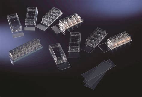 Tc Chamber Slides Lab Tek Ii Cc² Sterile Glass 8 Chamber Cc With