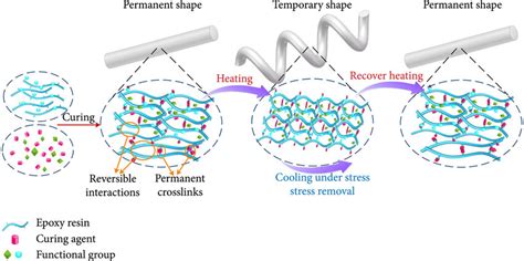 Schematic Diagram Of Shape Memory Mechanism Of Epoxy Resin Download Scientific Diagram