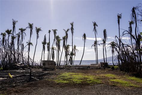 Photos A Closer Look At The Heart Of Lahaina 4 Months After Deadly