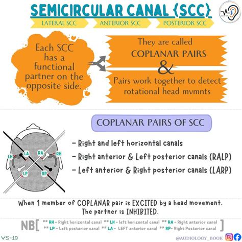 Diagram Vestibularsystem Coplanar Balance Ear Labyrinth Innerear