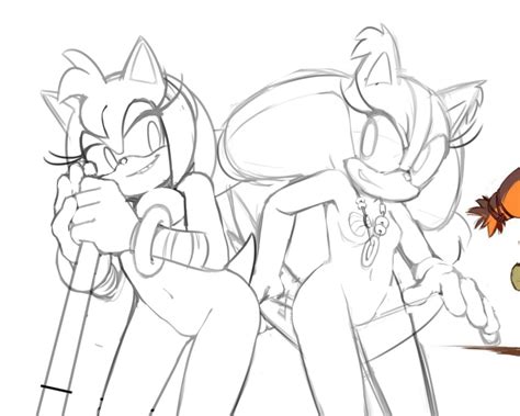 Rule 34 2girls Amy Rose Amy Rose Boom Boomerang Breasts Completely