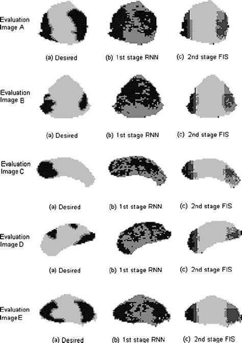 Segmentation Results Produced By The Proposed Algorithm For Predefined