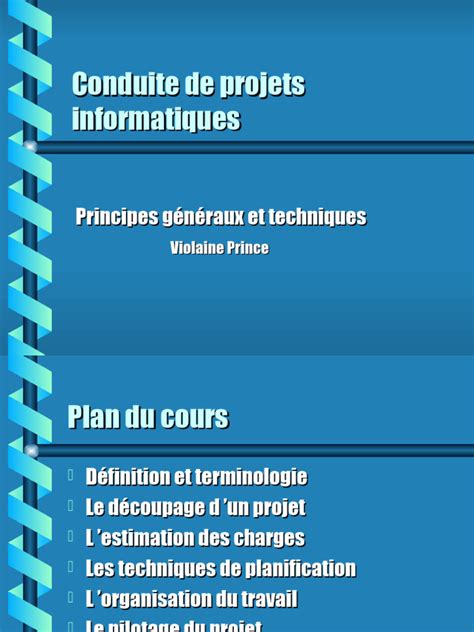Cp1 Vp Pdf Gestion De Projet Planification