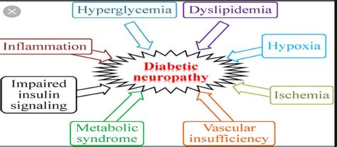 Diabetic Polyneuropathies Flashcards Quizlet
