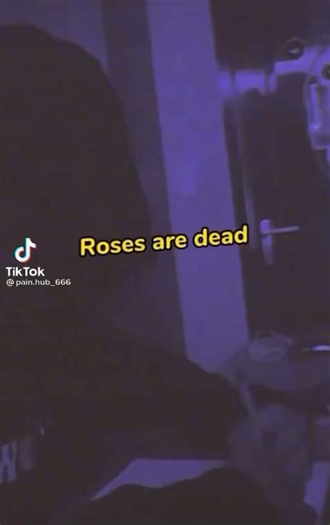 Braxton Off Forgot Password Help Braxtonc Profile Pinterest