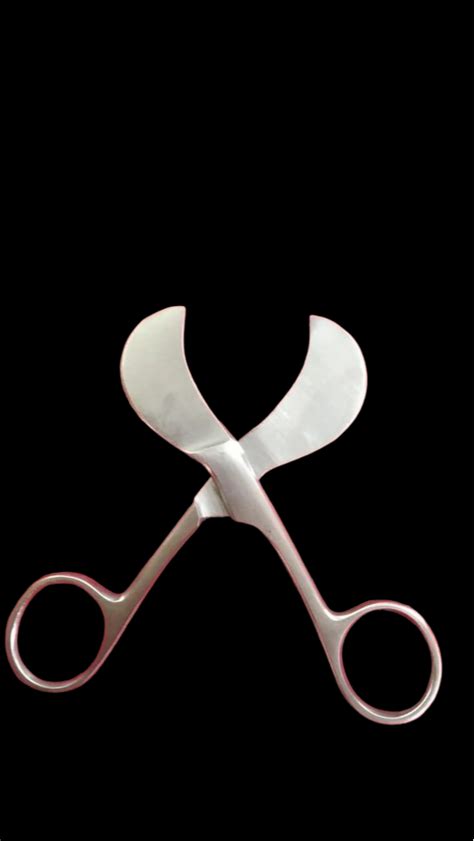 Stainless Steel Umbilical Cord Cutting Scissors 3 5 Inch At Rs 580