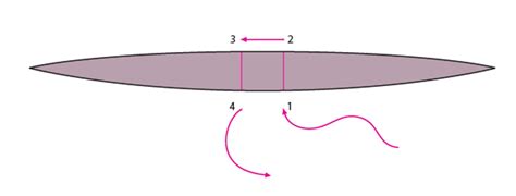 How To Repair A Laceration With Horizontal Mattress Sutures Injuries