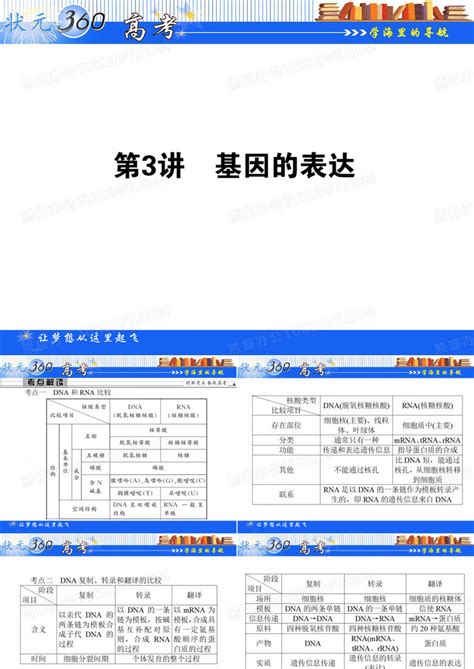 基因的表达ppt模板下载编号qnwazmnr熊猫办公 基因的表达ppt模板下载编号qnwazmnr熊猫办公