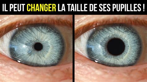 Il Peut Contrôler La Taille De Ses Pupilles 10 Personnes Dotées De