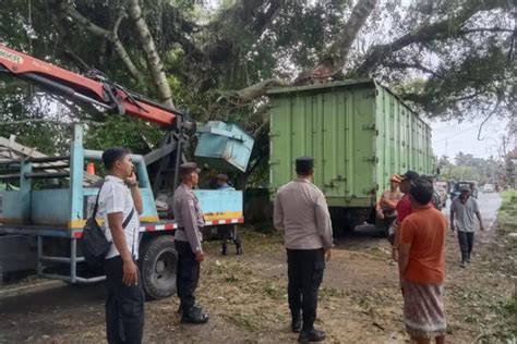 Melintas Truk Kontainer Tertimpa Pohon Beringin Denpost