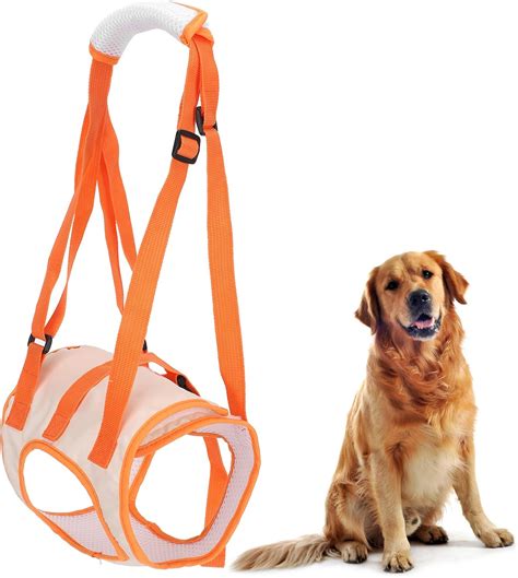 24 Mejores Arneses Traseros Para Perros Ortopédico Opiniones