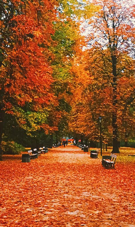 Download Nature Fall Pictures