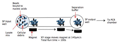 3 Illustration Of On Chip Bead Based Sample Preparation Magnetic Download Scientific Diagram