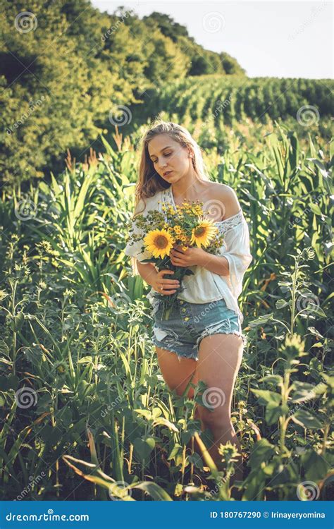 How To Harvest And Dry Herbs Traditional Medicinal Plants Stock Photo