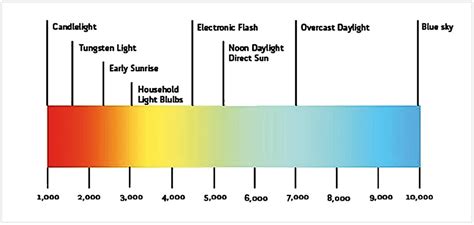 Fluorescent Light Bulb Emission Spectrum At Marie Houston Blog