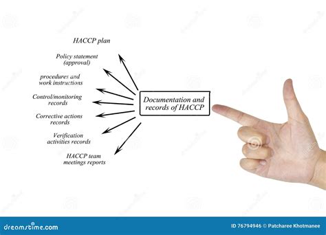 Women Hand Writing Element Of Documentation Record Of Haccp Sy Stock