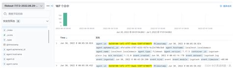elasticsearch7 17 七 logstash与filebeat详解以及elk整合 filebeat 7 17配置文件详解 csdn博客