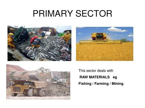 Ppt Topic Economic Activities And Globalisation Powerpoint