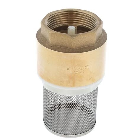 Pump Strainers Valves Epoxy Coating Rubber Lined In Nagpur