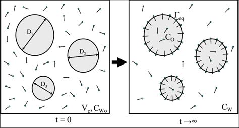 Figure A 3 Schematic Representation Of Polydisperse Oil Droplets In A