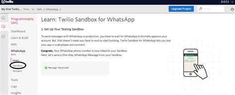 build a whatsapp game bot with laravel and twilio