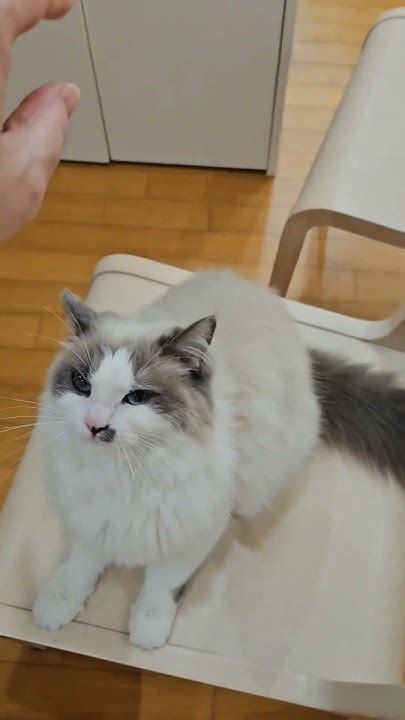 여긴 내자리야 Youtube