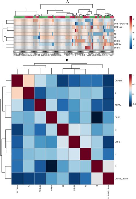 A Heatmap Of Gene Expression Levels A And A Correlation Coefficient