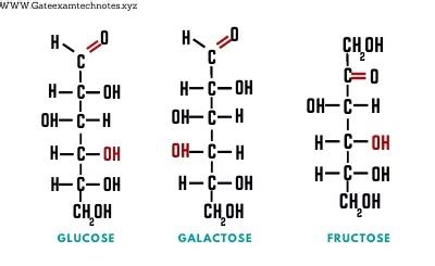 Monosaccharides